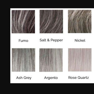Accessories | Silver Grey Hair Color Charts For Reference | Poshmark